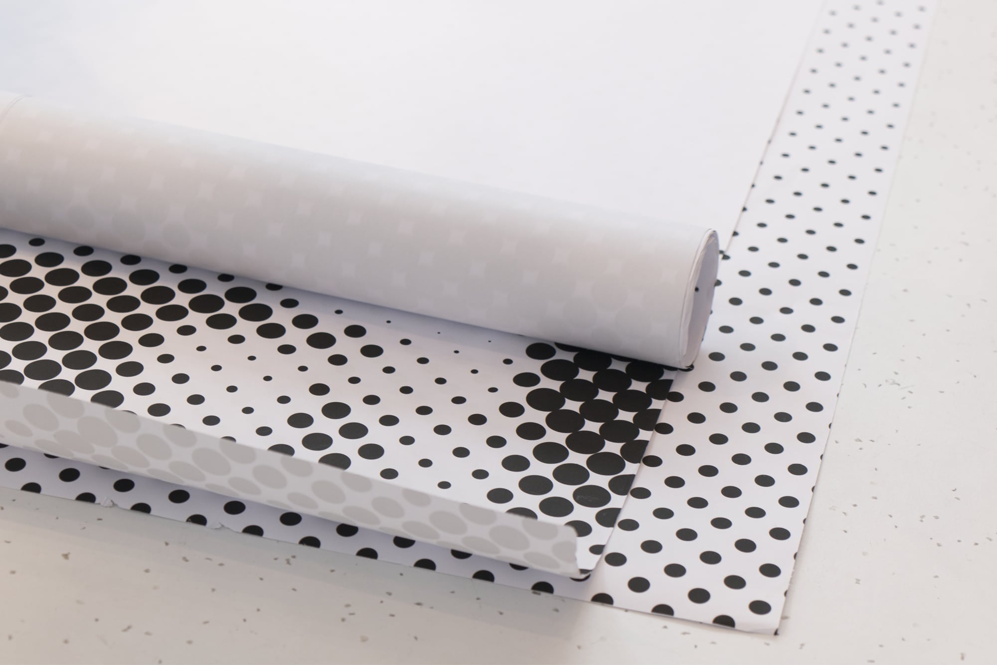 The Human Printer - Stinsensqueeze